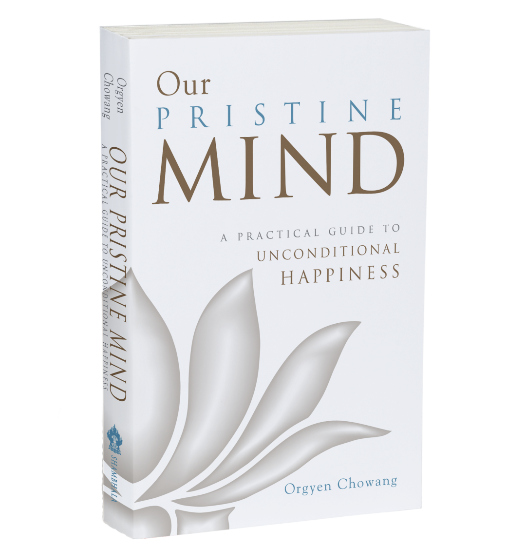 OurPristineMind3D -no shadow - Pristine Mind Foundation
