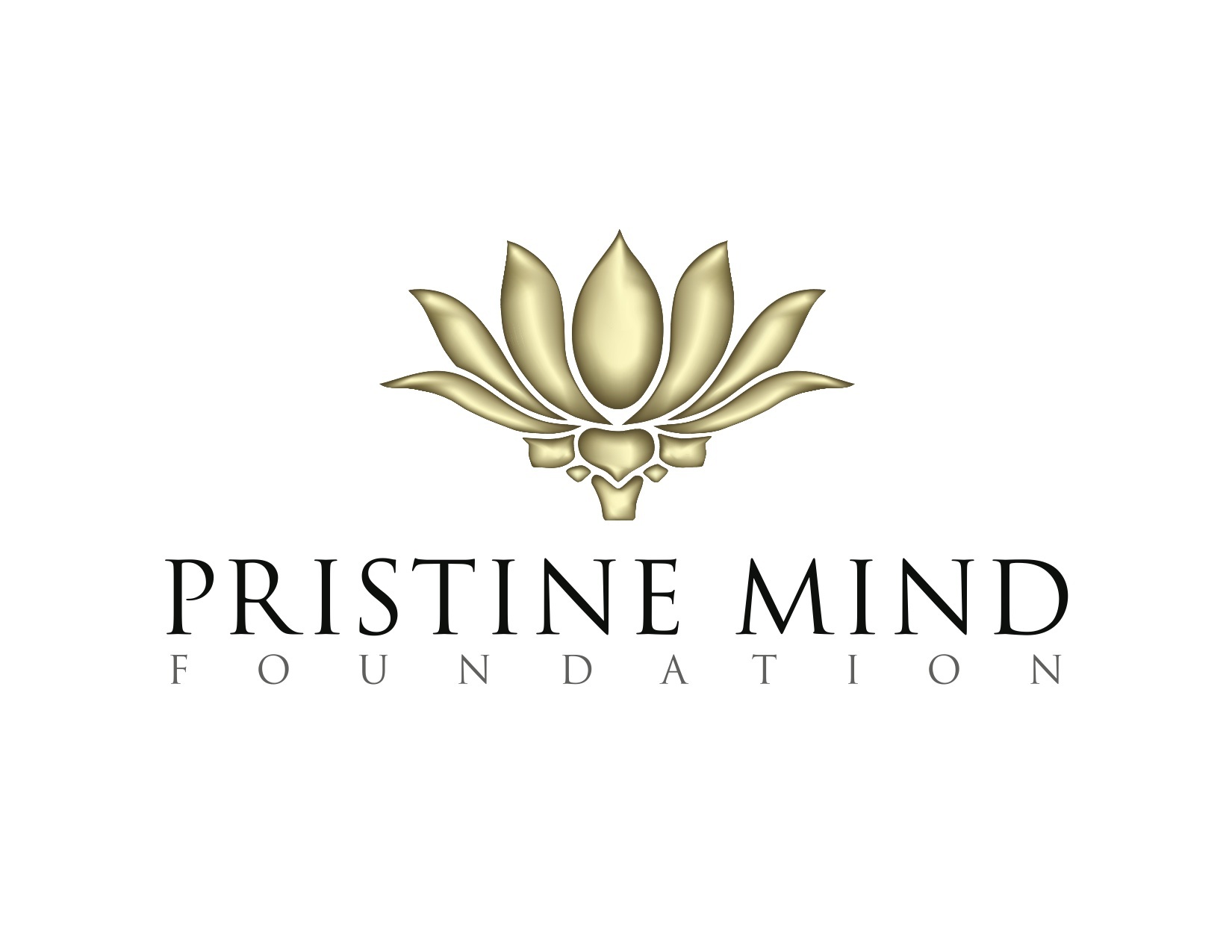 2017 New Year Teaching & Meditation_Orgyen Chowang Rinpoche_2017-01-01 - Pristine Mind Foundation