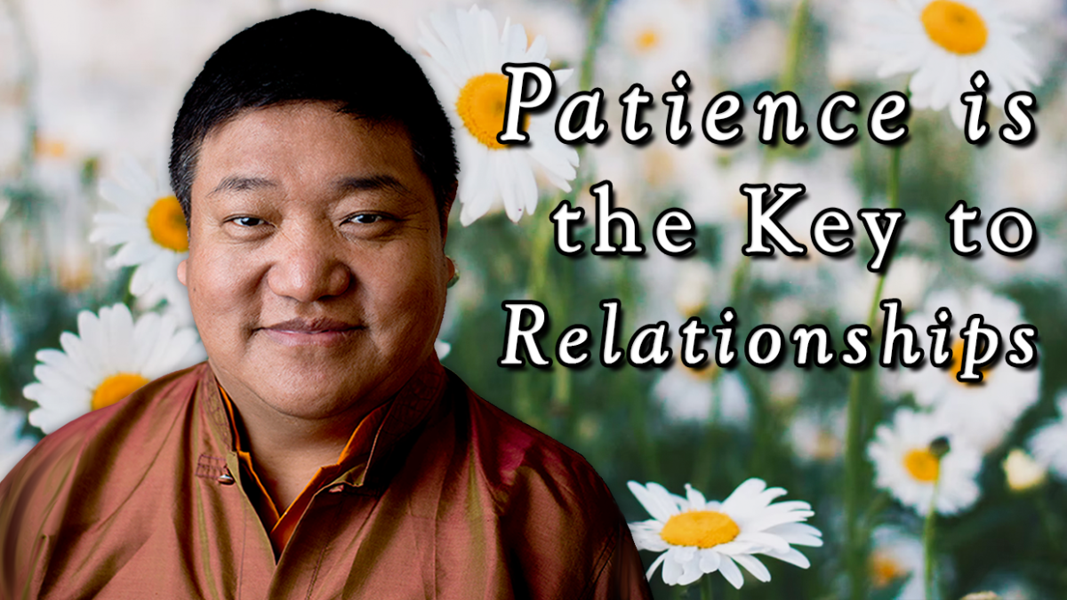 Patience is the Key to Relationships - Pristine Mind Foundation