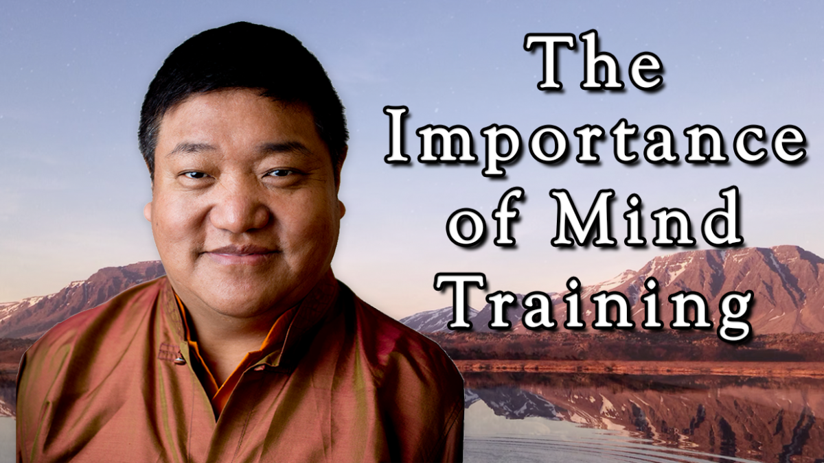 The Importance of Mind Training - Pristine Mind Foundation